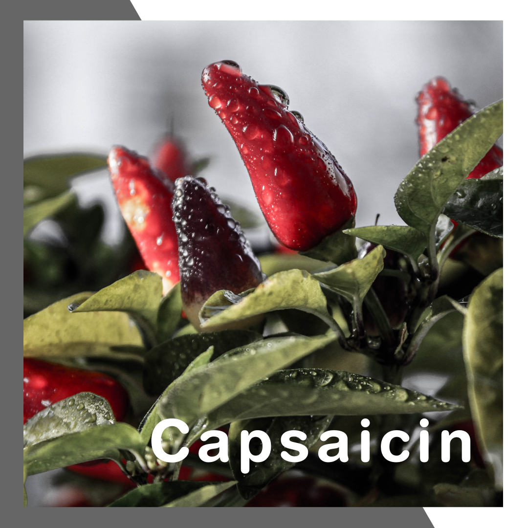 Capsaicin: Fire Up Your Metabolism – Confidence By Char